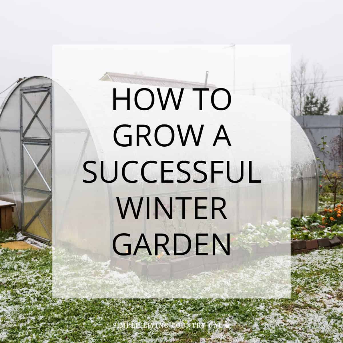 Winter Gardening: Growing Vegetables in Cold Weather