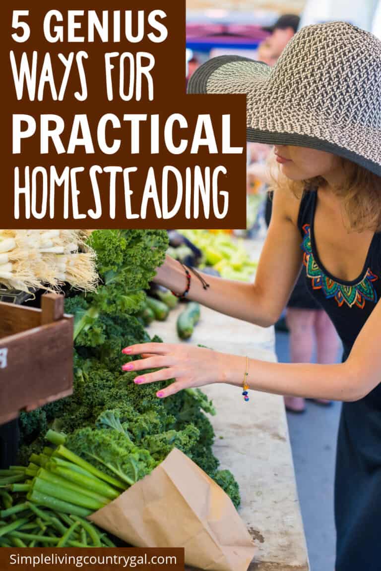 Practical Homesteading Tips for Everyday Life | Simple Living Country Gal