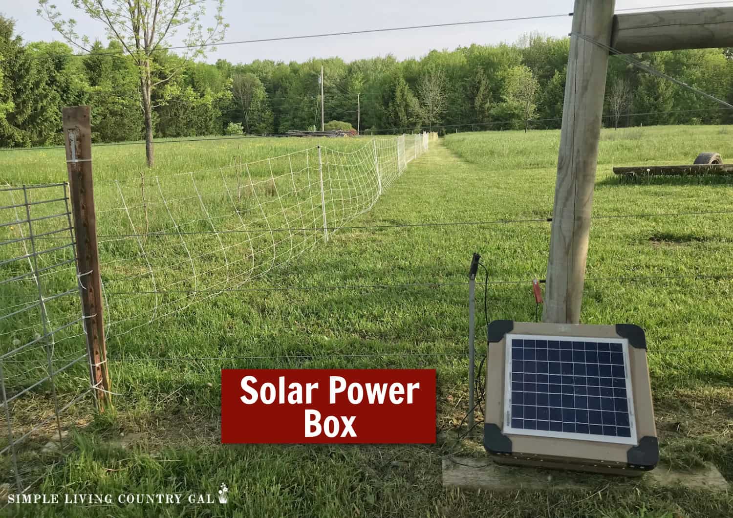 Portable goat fencing | Simple Living Country Gal