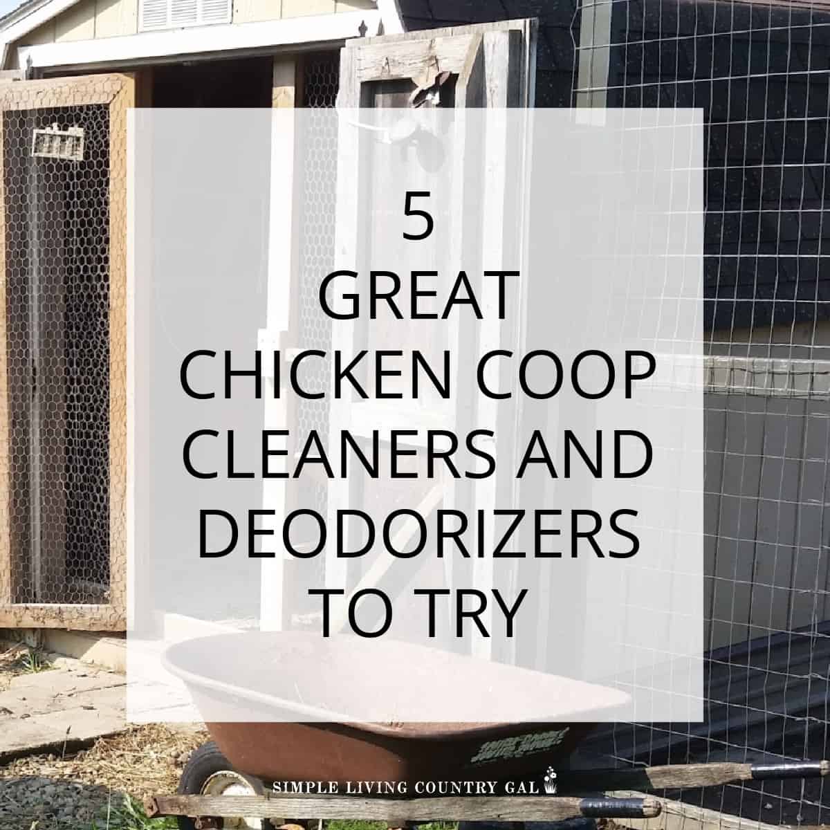 Best Chicken Coop Cleaner and Deodorizers | Simple Living Country Gal