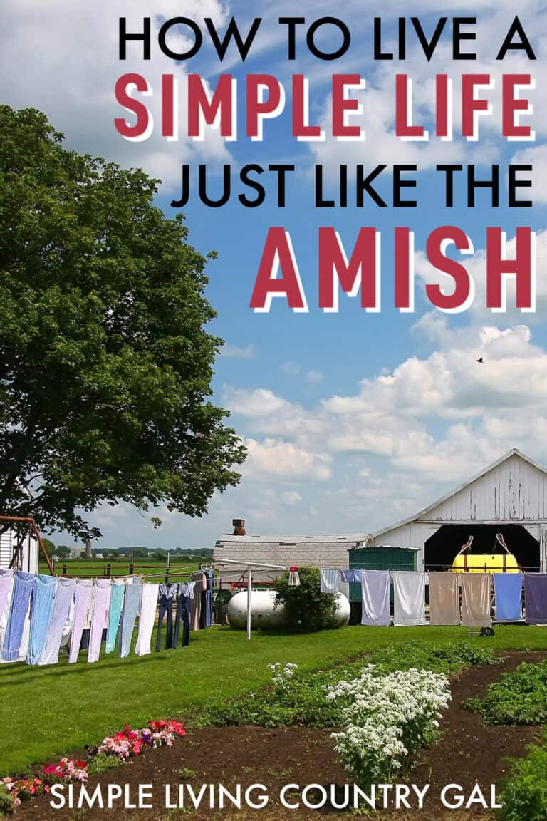 How to live amish without being amish | Simple Living Country Gal