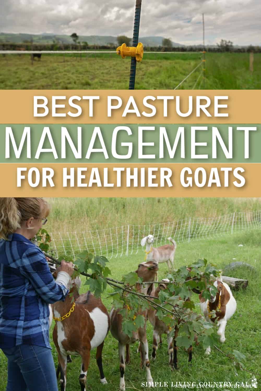Pasture Management for Goats | Simple Living Country Gal