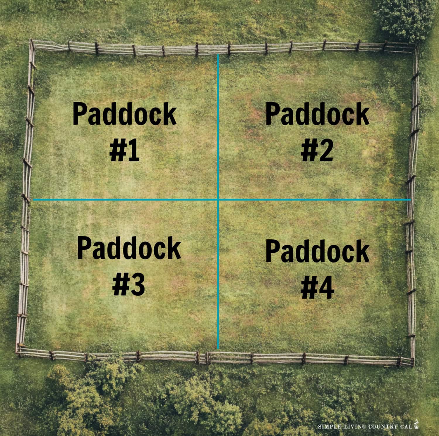 portable grazing pen | Simple Living Country Gal