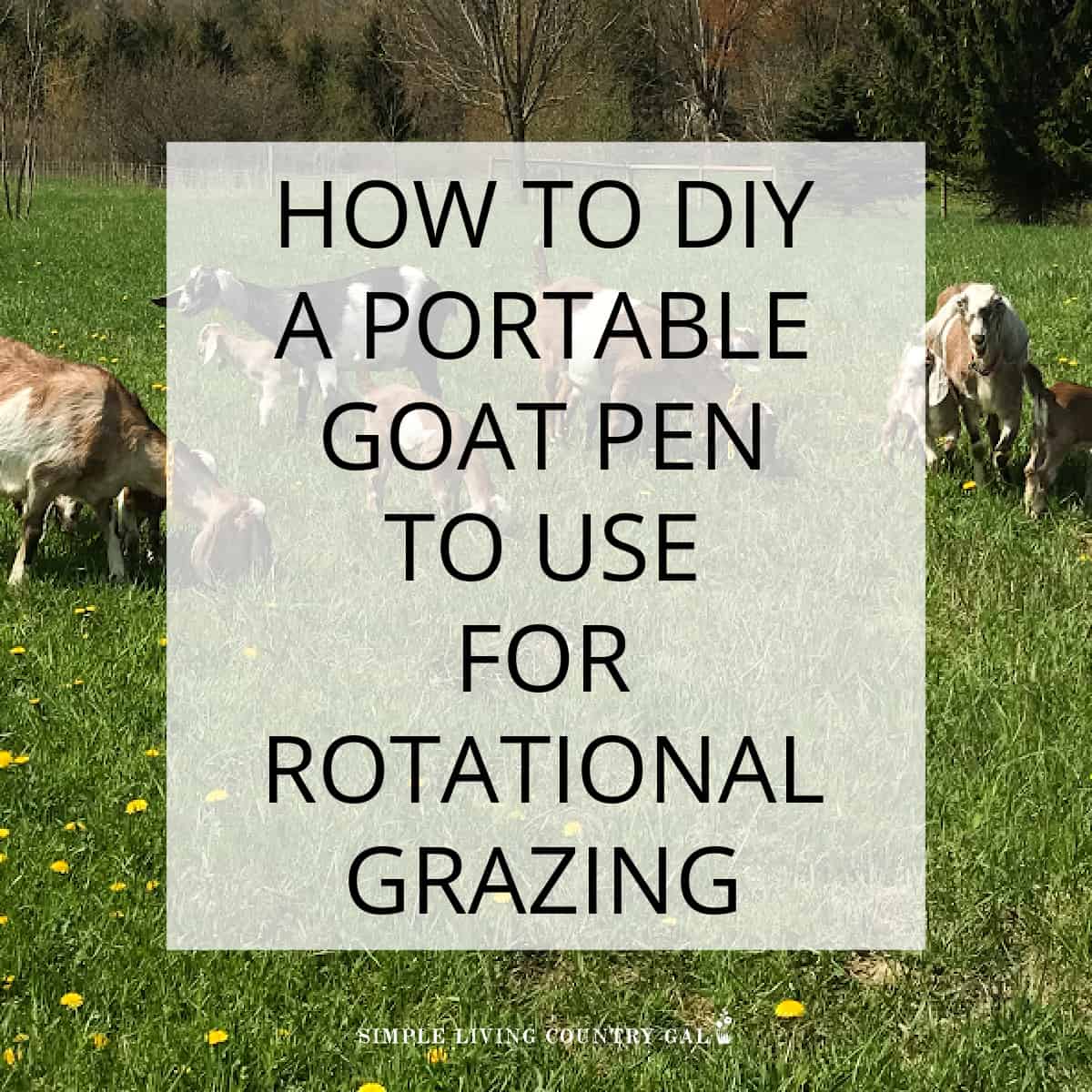 portable grazing pen | Simple Living Country Gal
