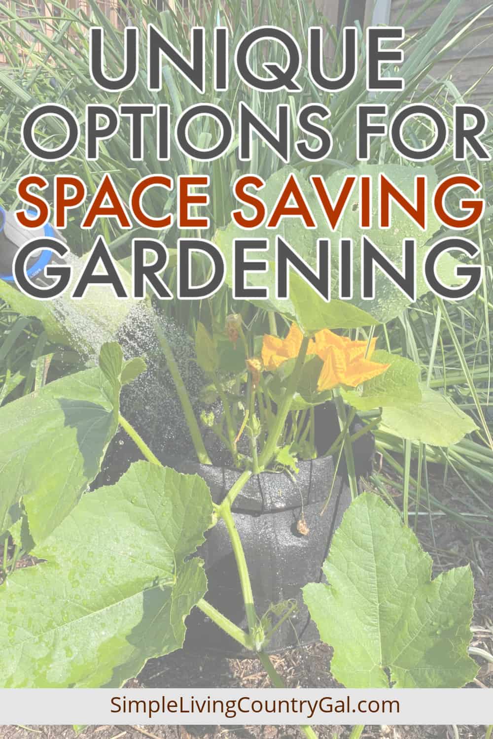 Turn Small Spaces into Thriving Gardens | Simple Living Country Gal