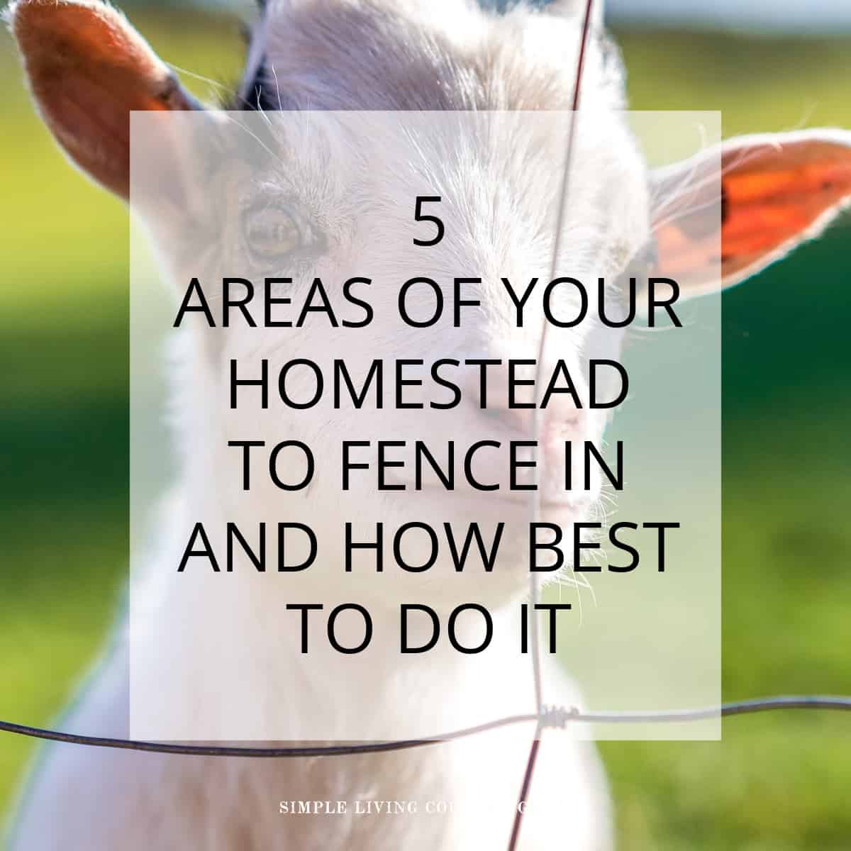 Farm Fence Ideas | Simple Living Country Gal