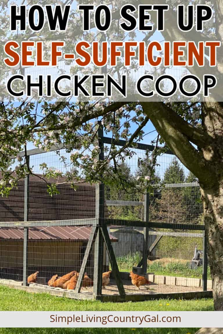 Setting Up a Self-Sufficient Chicken Coop | Simple Living Country Gal
