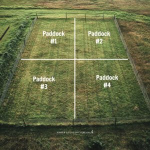 rotational grazing goats | Simple Living Country Gal