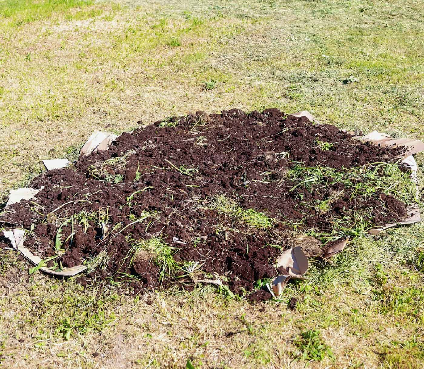 Prepare Your Garden for Planting with This Clean Up Checklist | Simple ...