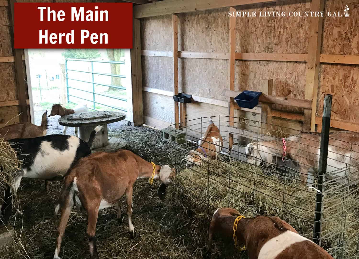 Setting Up A Birthing Pen For Your Goats | Simple Living Country Gal