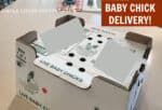 Easy Housing Ideas for Baby Chicks and Ducklings | Simple Living ...