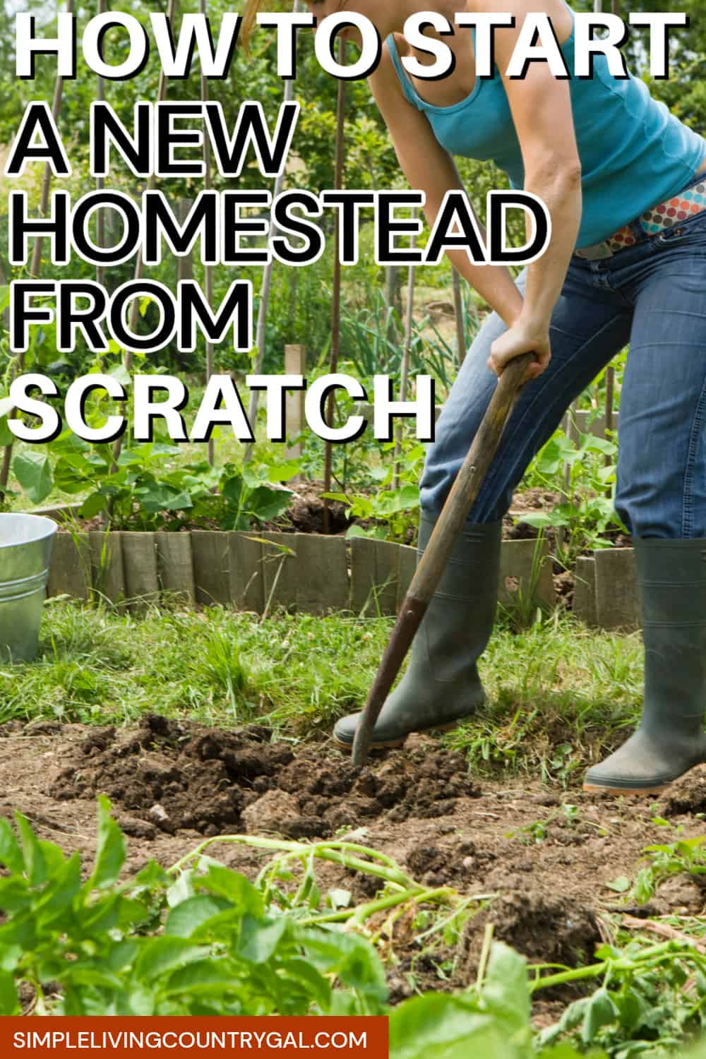 Starting a Homestead from Scratch: A Beginner's Guide | Simple Living ...