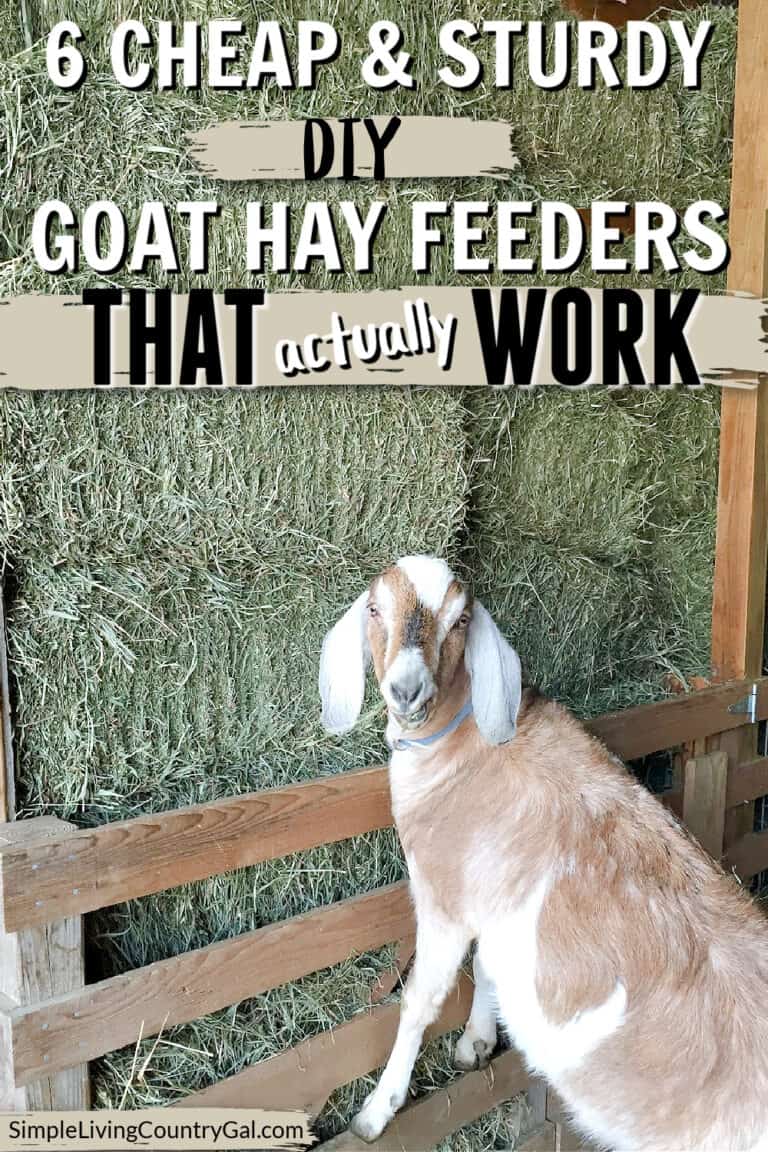 DIY Goat Hay Feeder to Reduce Hay Waste | Simple Living Country Gal