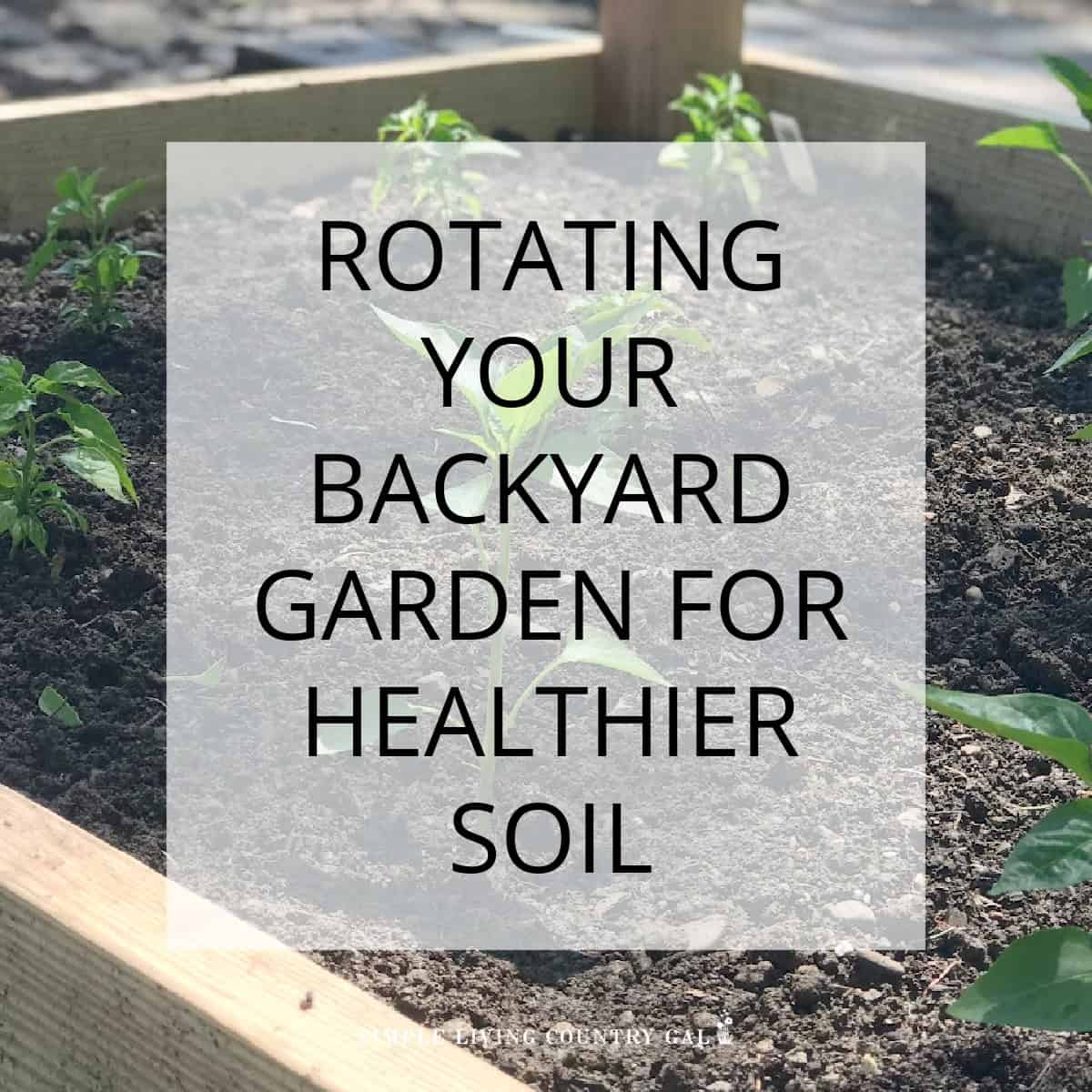 Rotating Your Garden Crops | Simple Living Country Gal