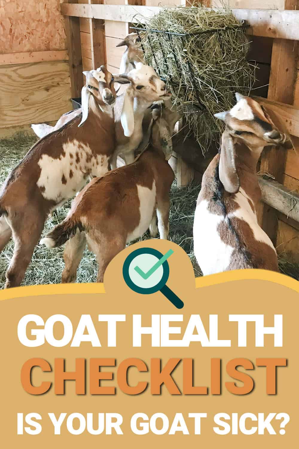 goat health checklist | Simple Living Country Gal