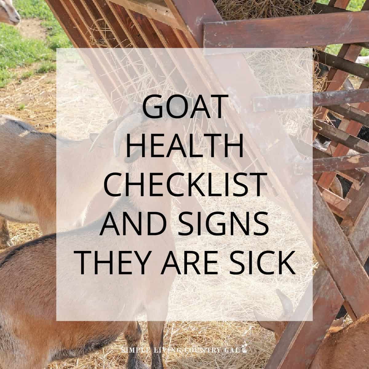 goat health checklist | Simple Living Country Gal