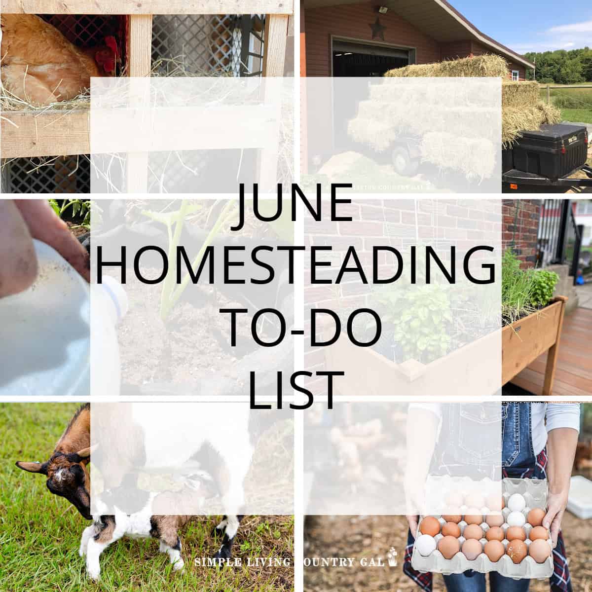 June Homesteading To-Do List | Simple Living Country Gal