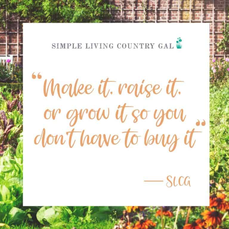 Transform Your Life with Small-Scale Homestead Ideas | Simple Living ...