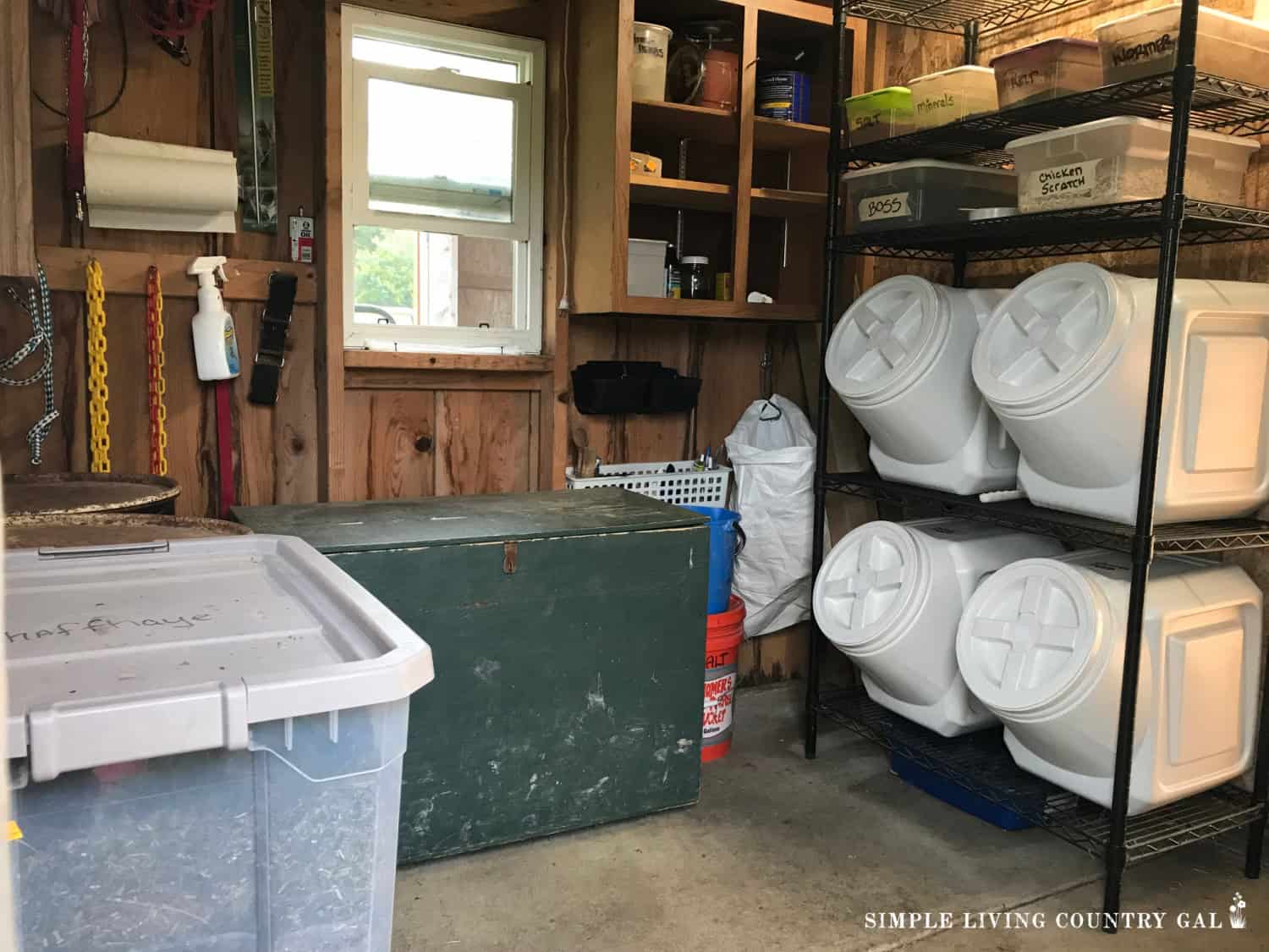 June Homesteading To-Do List | Simple Living Country Gal
