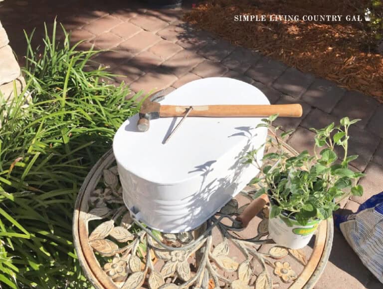 How to Grow patio pepper plants | Simple Living Country Gal