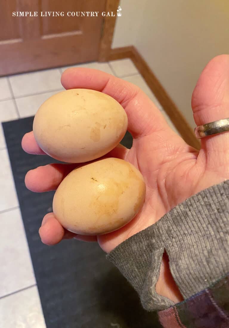 how to wash eggs from the coop | Simple Living Country Gal