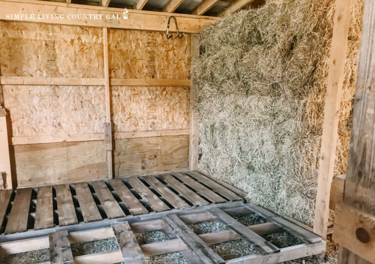 June Homesteading To-Do List | Simple Living Country Gal