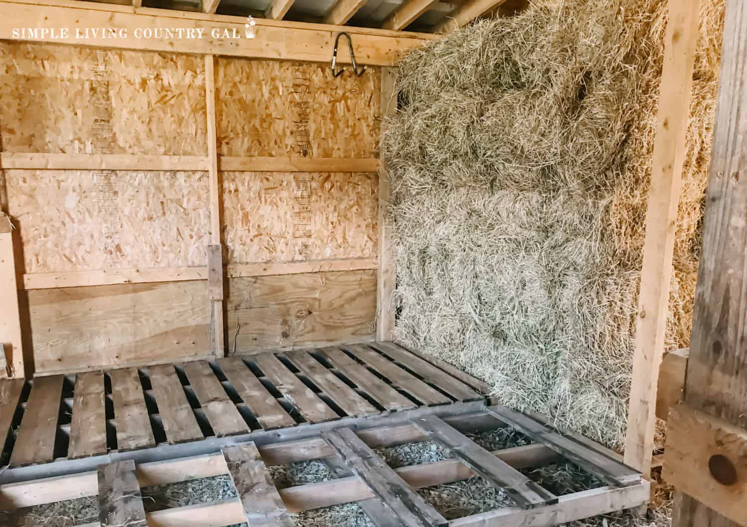 June Homesteading To-Do List | Simple Living Country Gal