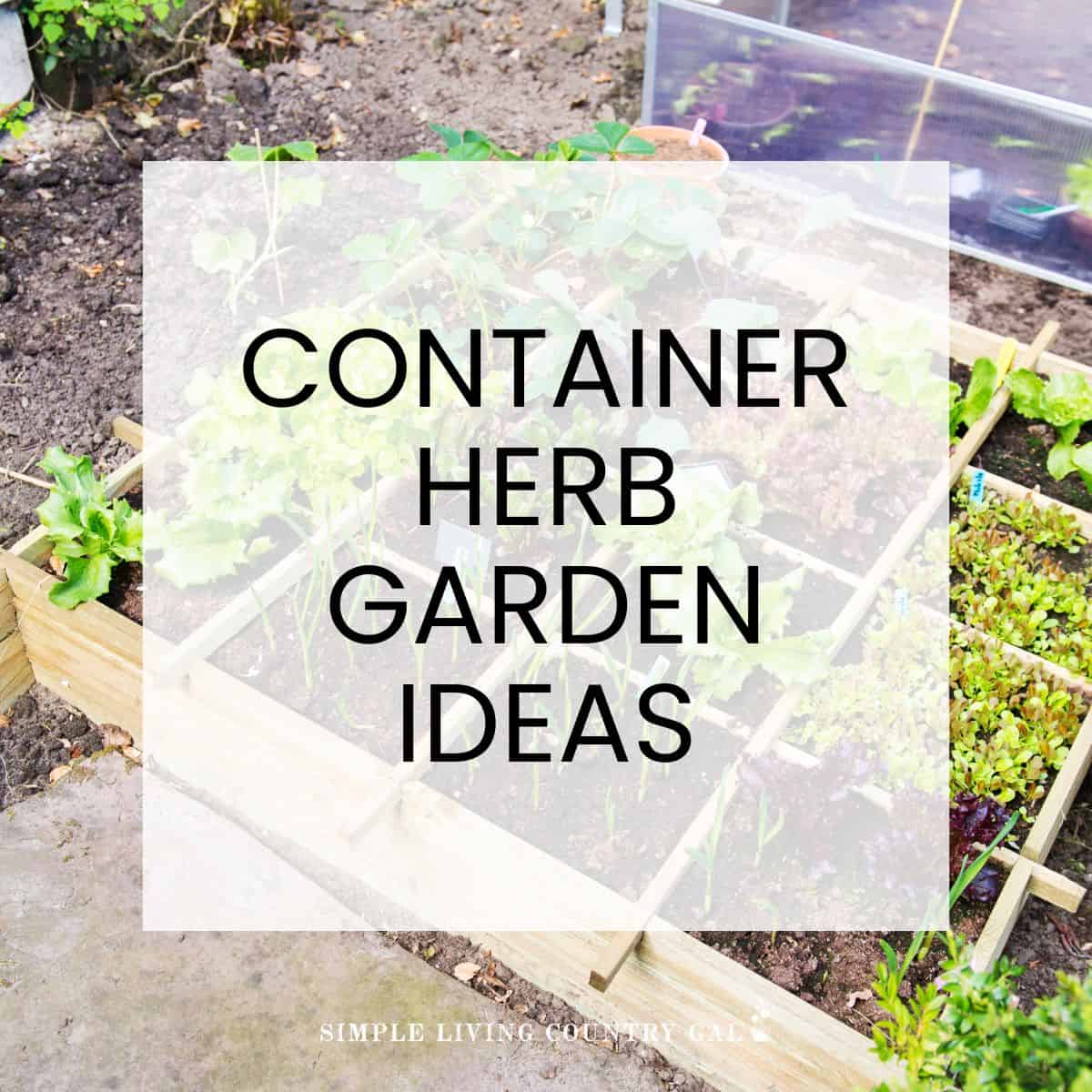 Container Herb Garden Ideas for Small Spaces | Simple Living Country Gal