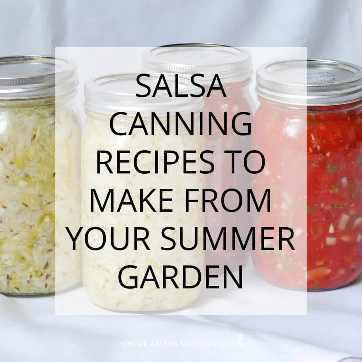 Canning Salsa Recipes | Simple Living Country Gal