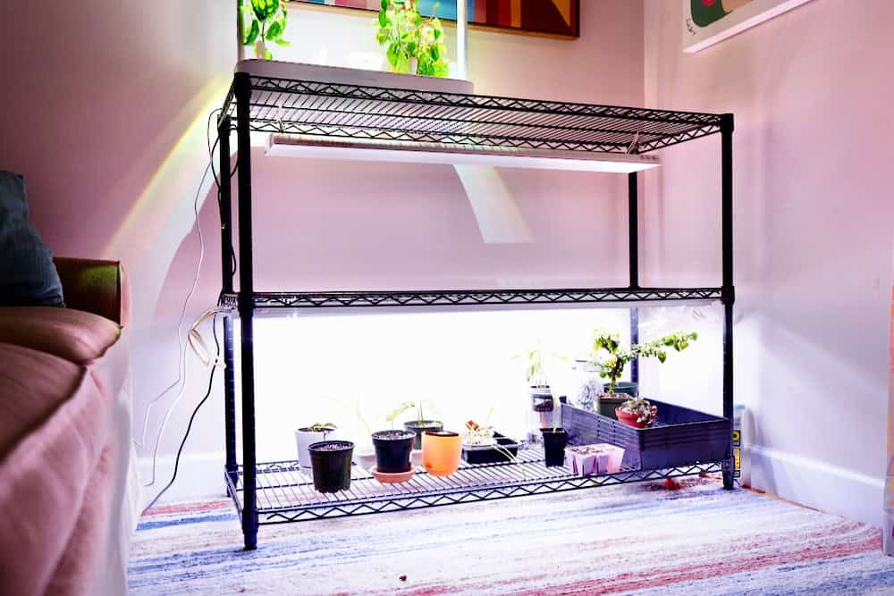 DIY indoor garden system | Simple Living Country Gal