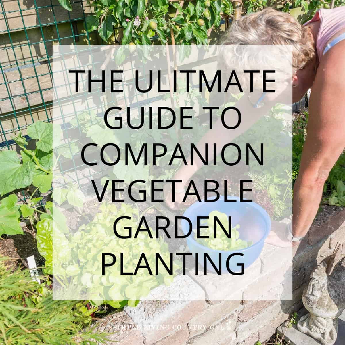 Vegetable Companion Planting Chart PDF | Simple Living Country Gal
