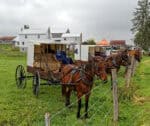 The Amish Way of Life: Family, Work Ethic, and Slowing Down | Simple ...