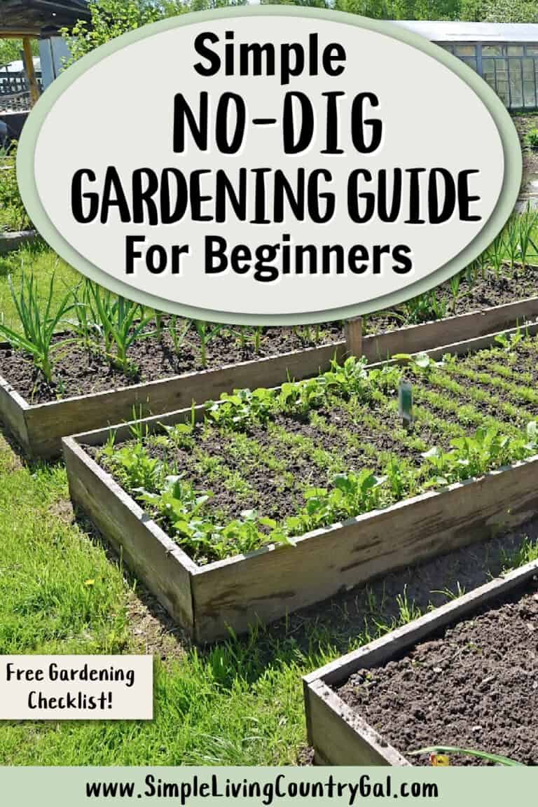 No-Dig Gardening Tips for Beginners | Simple Living Country Gal