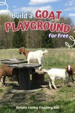 Building A Free DIY Goat Playground - Step by Step | Simple Living Country Gal