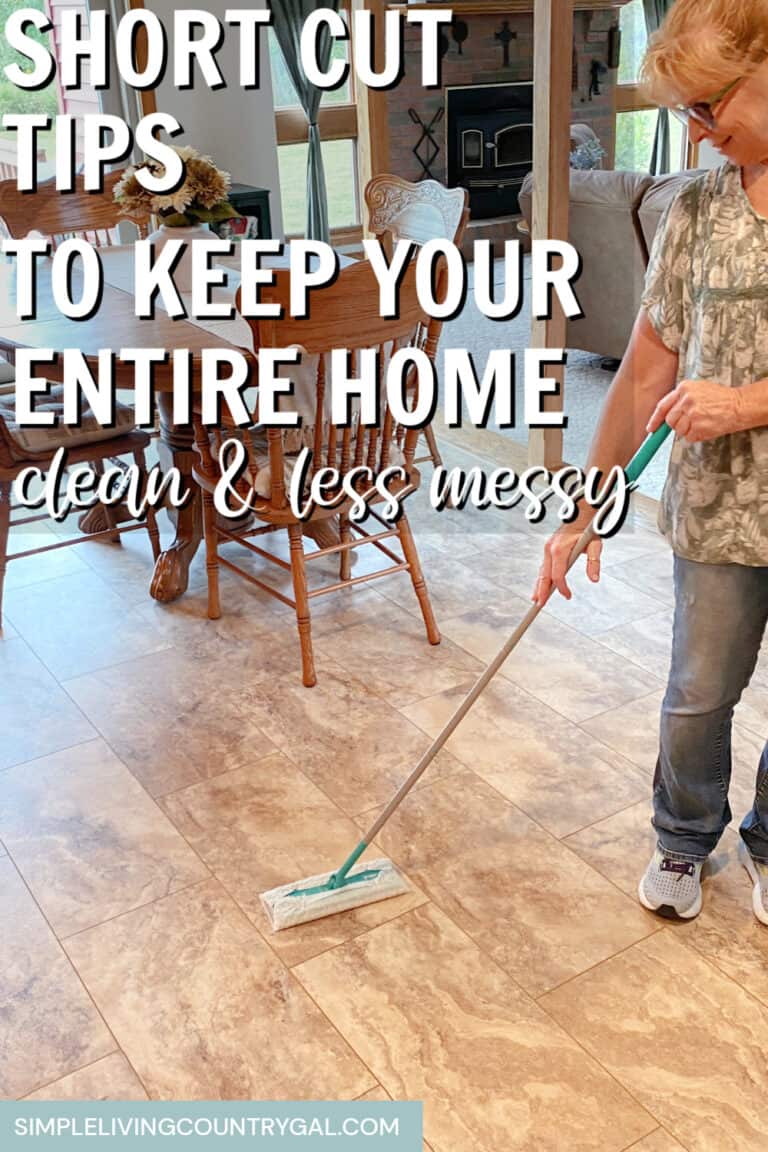 Time-Saving Hacks: How to Keep Your House Clean and Neat | Simple ...