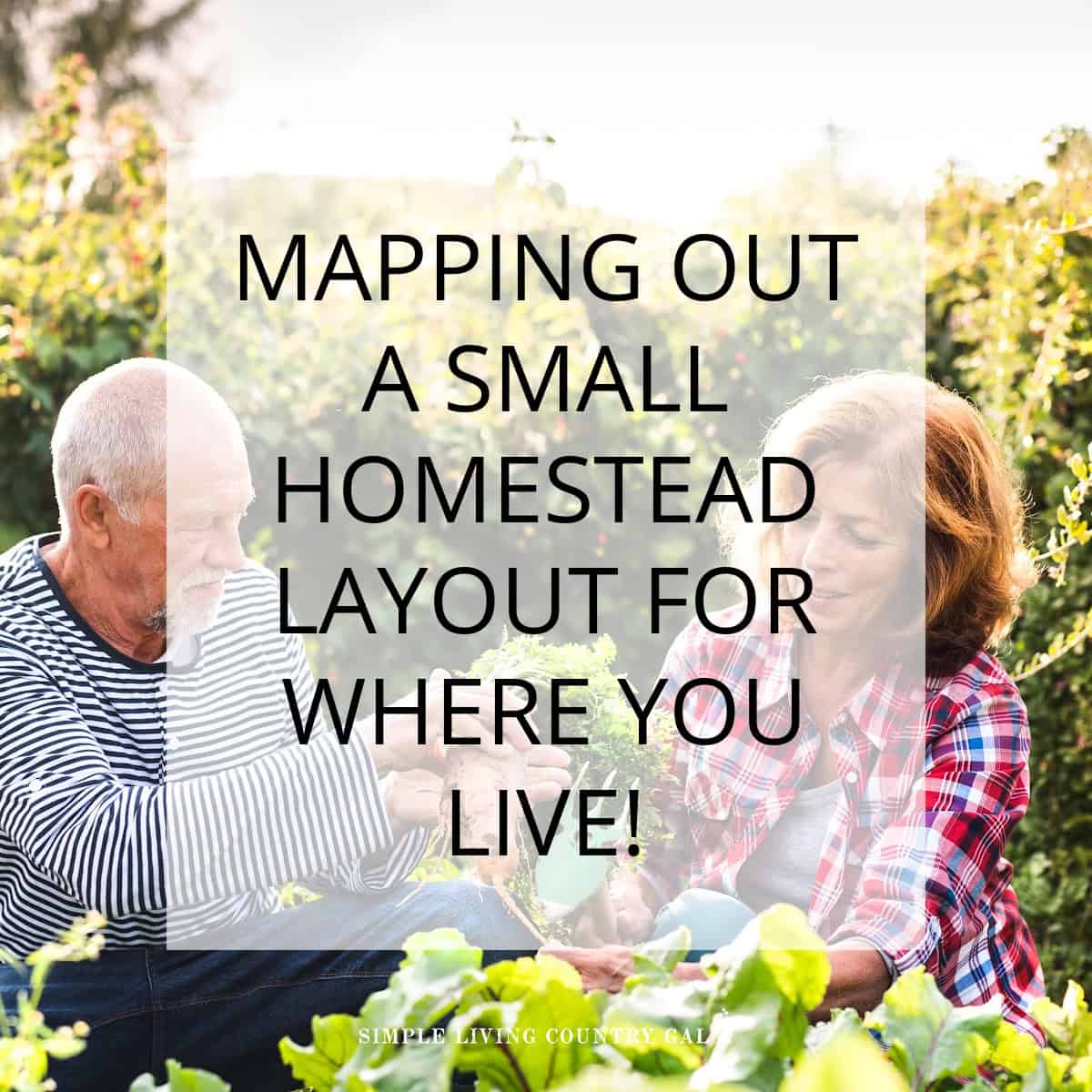 Step-by-Step Guide: Setting up a Small Homestead Layout | Simple Living ...