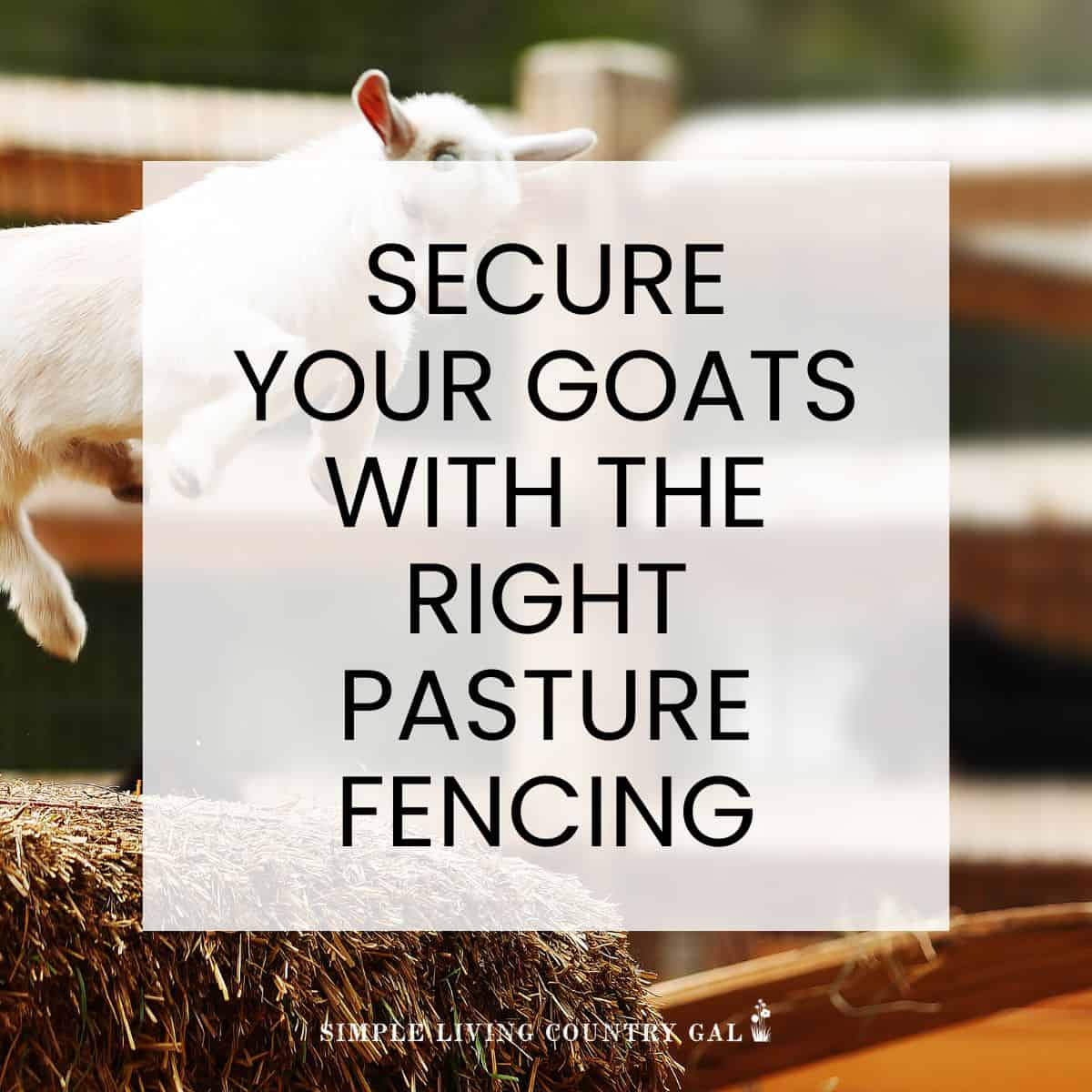Fencing for Goats in Pasture | Simple Living Country Gal