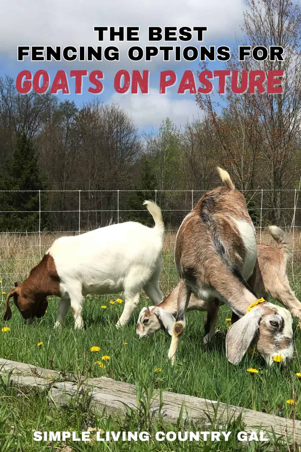 Fencing for Goats in Pasture | Simple Living Country Gal