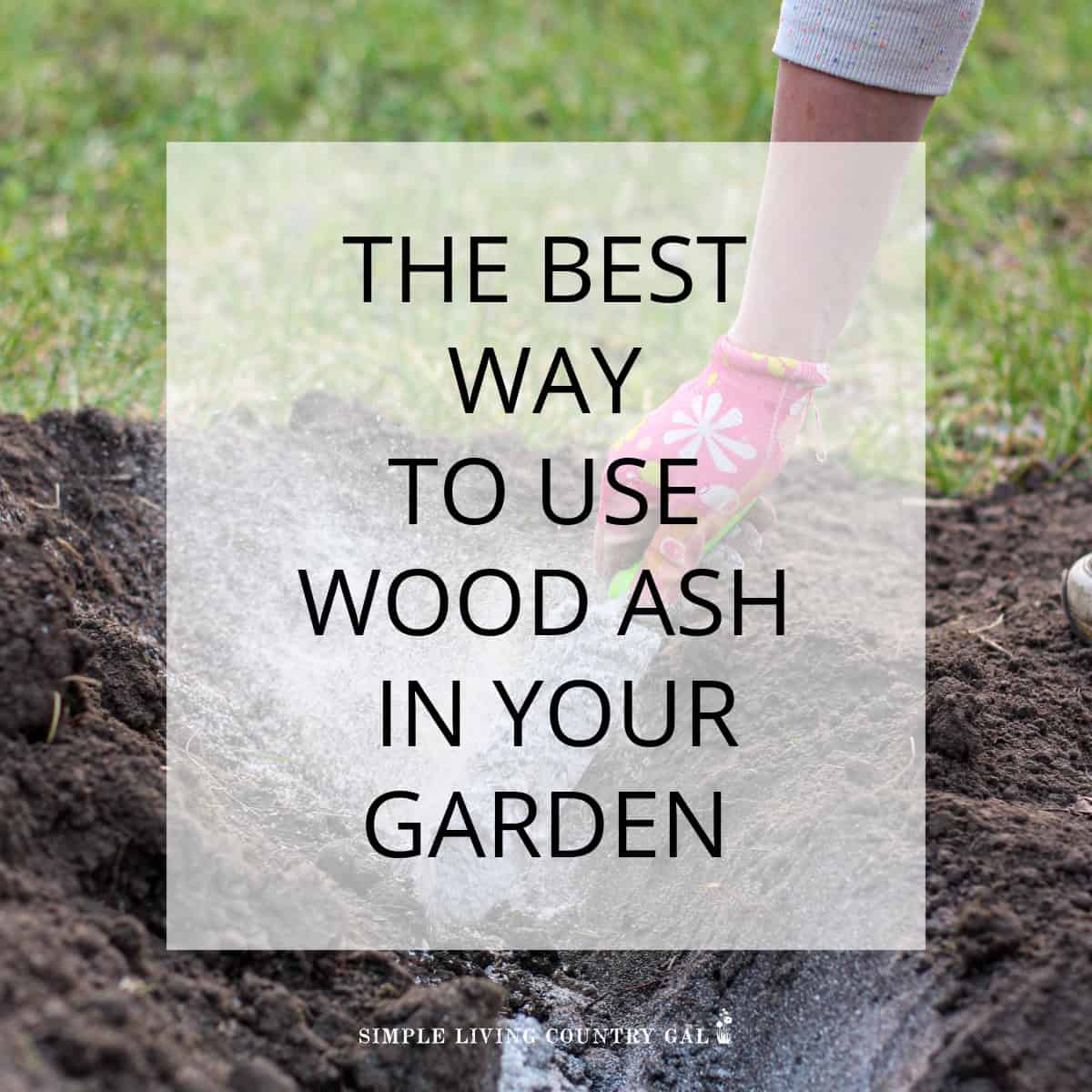 Wood Ash Uses in the Garden: A Complete Guide | Simple Living Country Gal