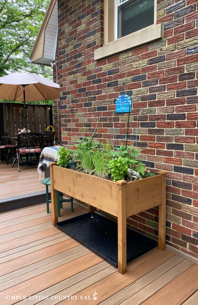 Step-by-Step Guide: Setting up a Small Homestead Layout | Simple Living ...