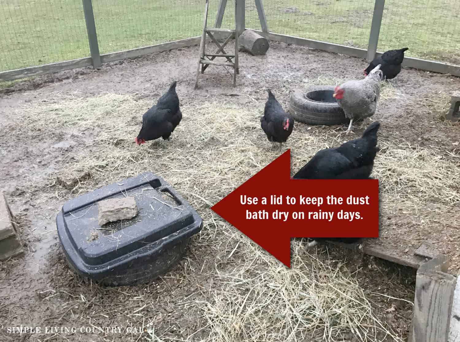 Dust Bath Recipe for Healthy and Happy Chickens | Simple Living Country Gal