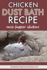 Dust Bath Recipe for Healthy and Happy Chickens | Simple Living Country Gal