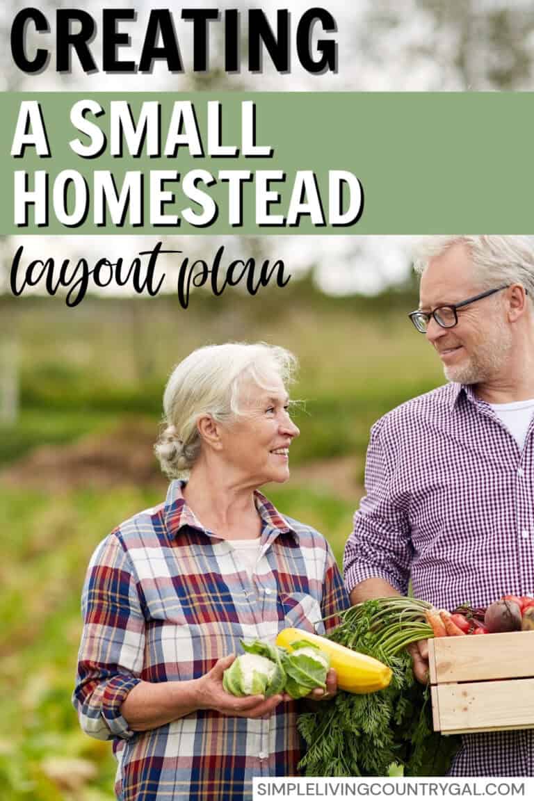 Step-by-Step Guide: Setting up a Small Homestead Layout | Simple Living ...