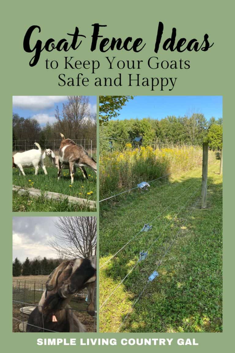 The Best Goat Fence Ideas for a Thriving Homestead | Simple Living Country Gal