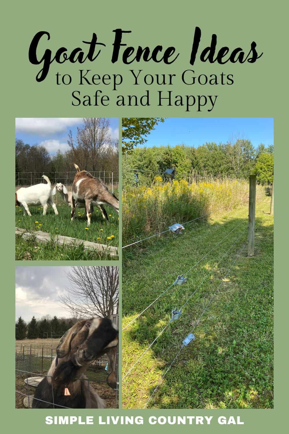 The Best Goat Fence Ideas for a Thriving Homestead | Simple Living Country Gal