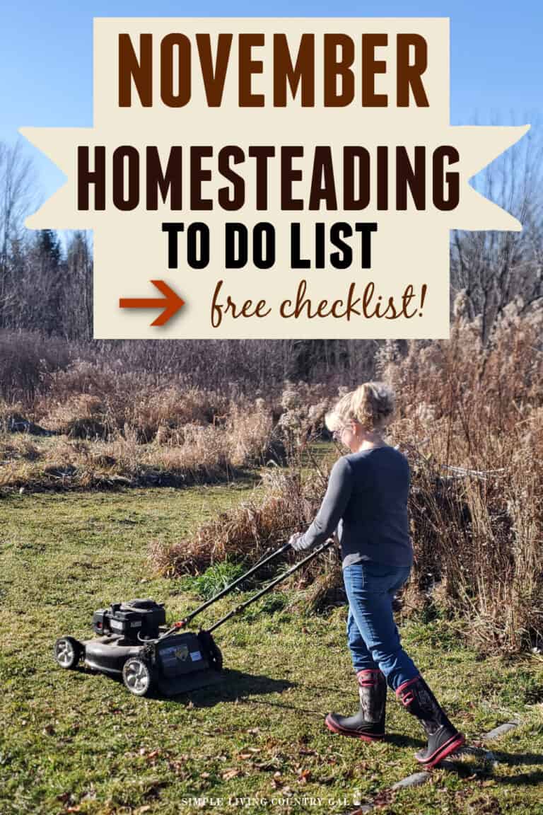 Step-by-Step Guide: November Homesteading To-do List | Simple Living ...
