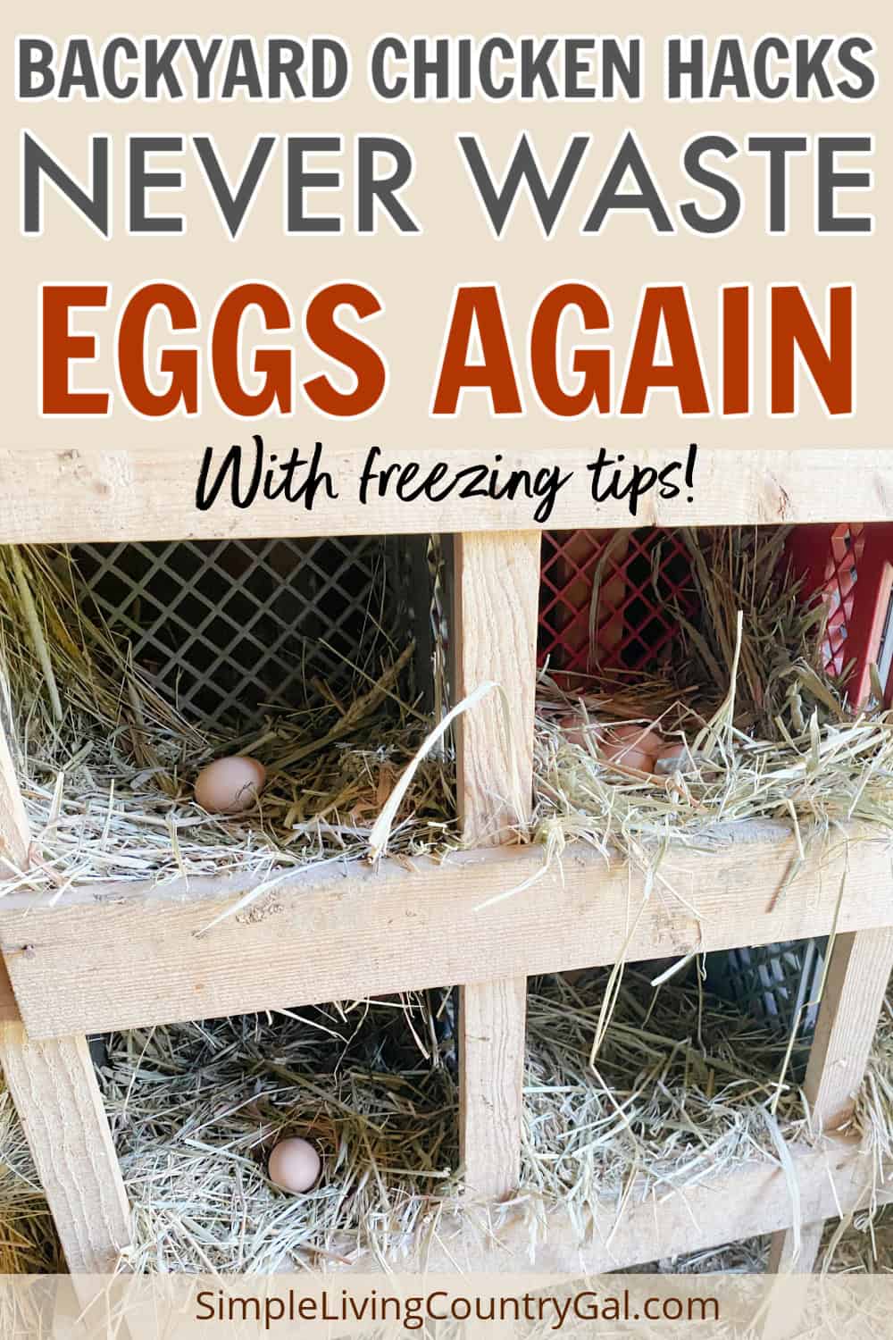 The Ultimate Guide to Freezing Chicken Eggs | Simple Living Country Gal