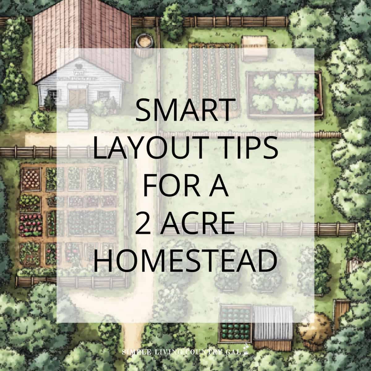 Creating a Productive 2 Acre Homestead Layout | Simple Living Country Gal