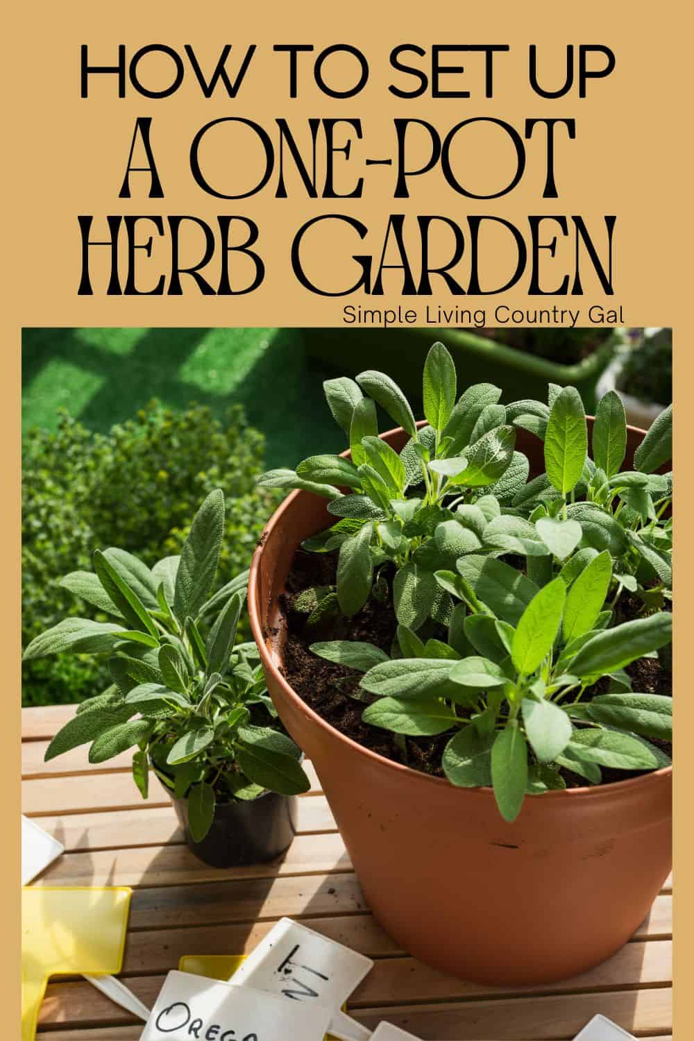 Beginner's Guide: How to Grow a One-Pot Herb Garden | Simple Living ...