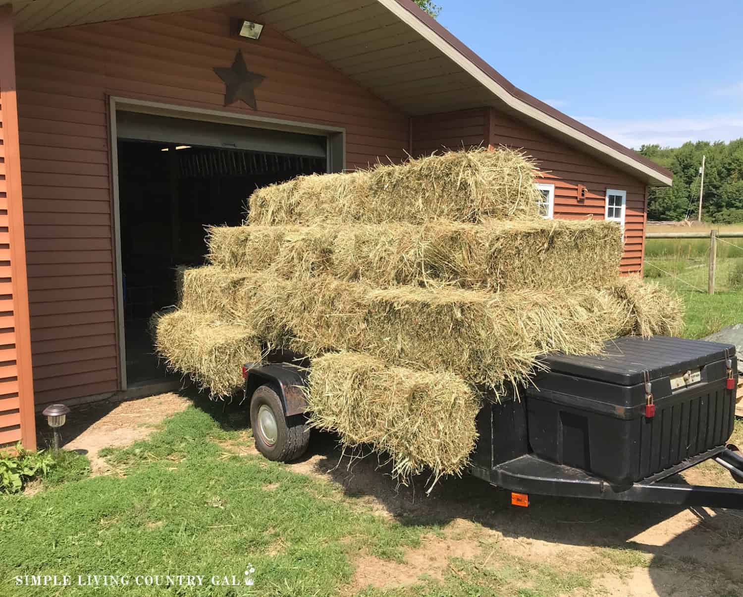 Creating an Ideal Goat Barn Layout for Raising Dairy Goats | Simple ...